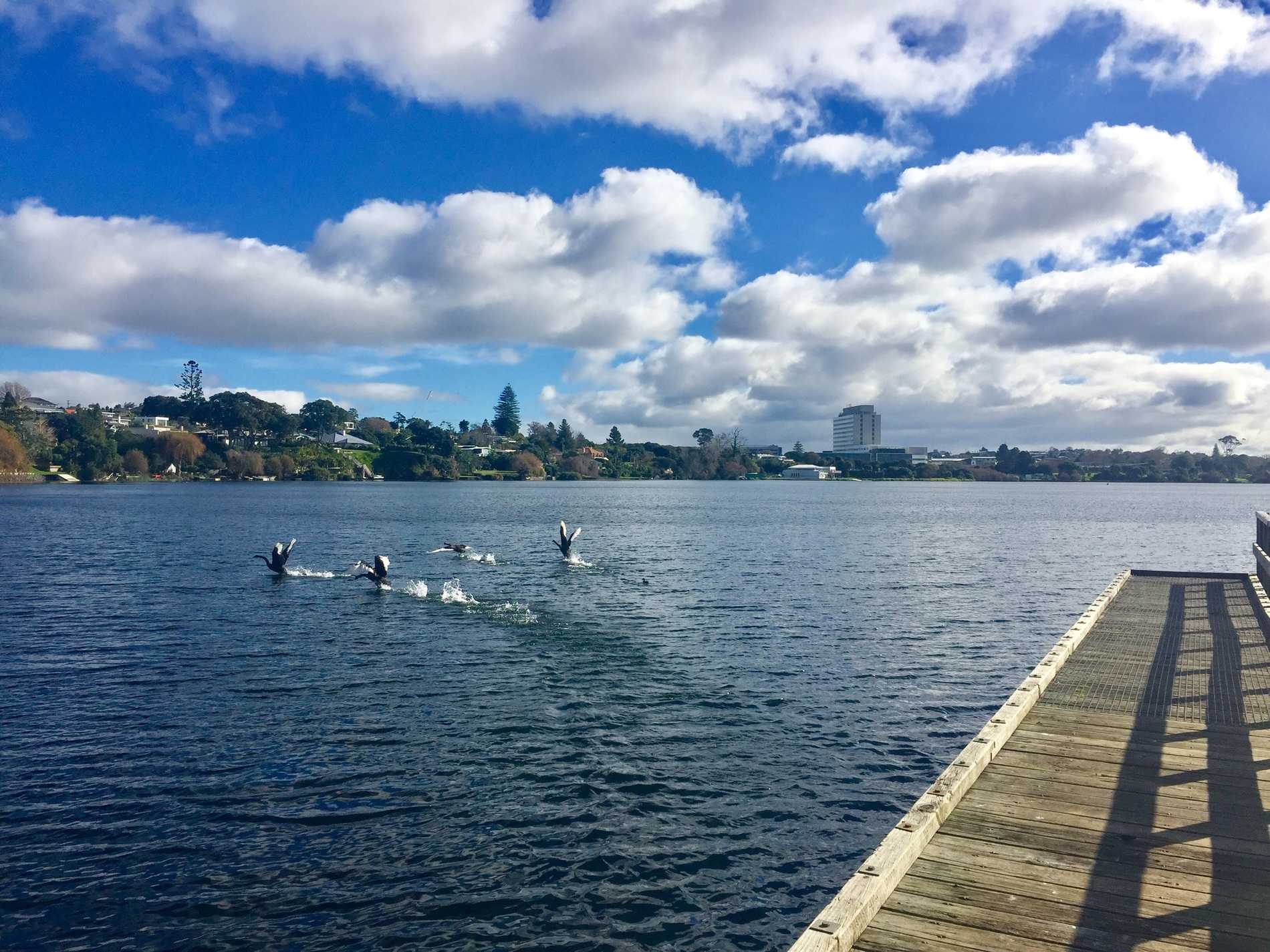 Takapuna International Motor Lodge|Auckland|New Zealand